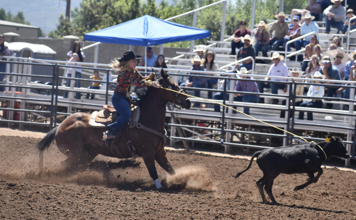 LLOYD: High school rodeo highlights toughness and kindness despite ...